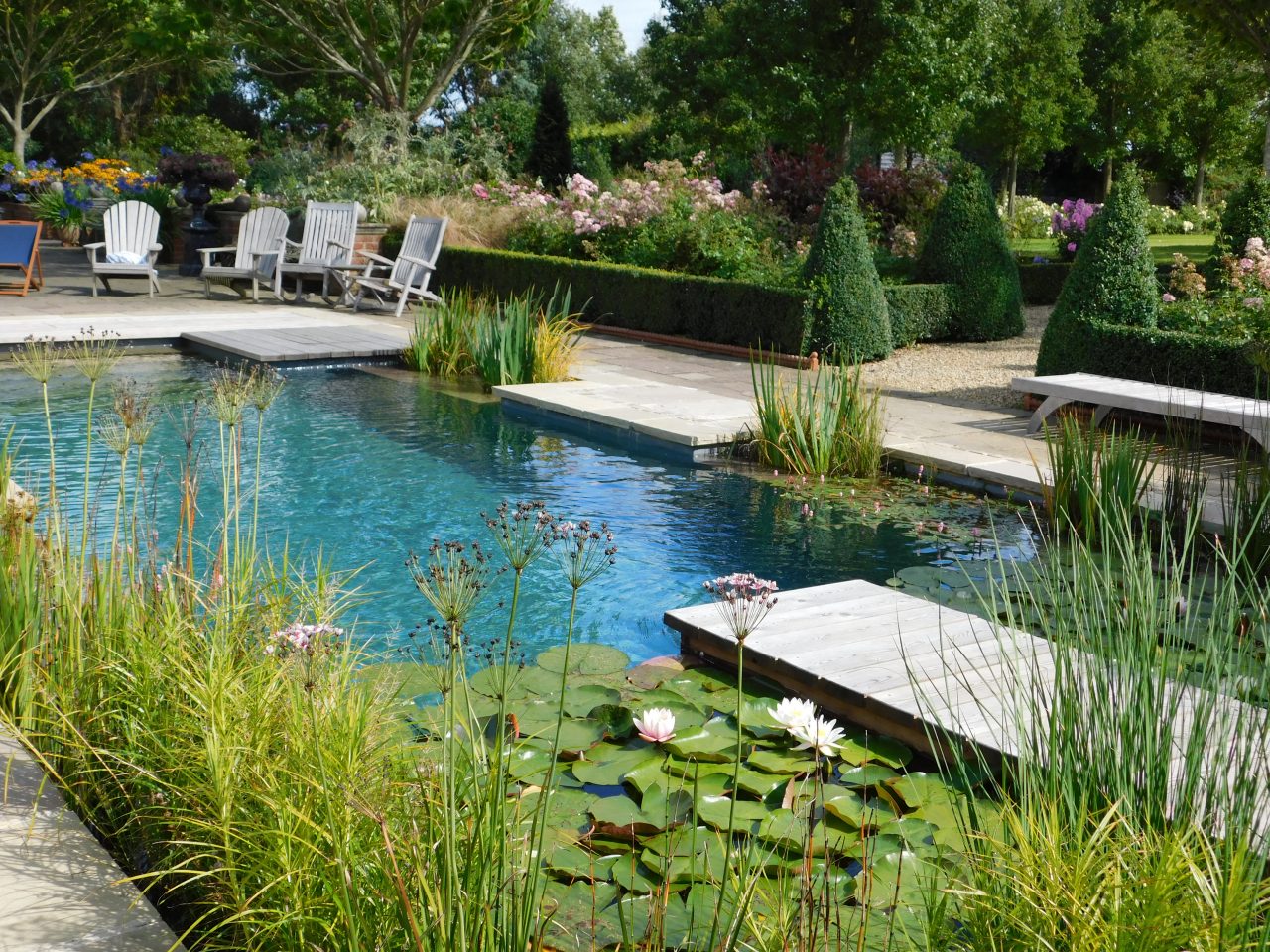 Swimming Pool Conversions - Natural Swimming Pools